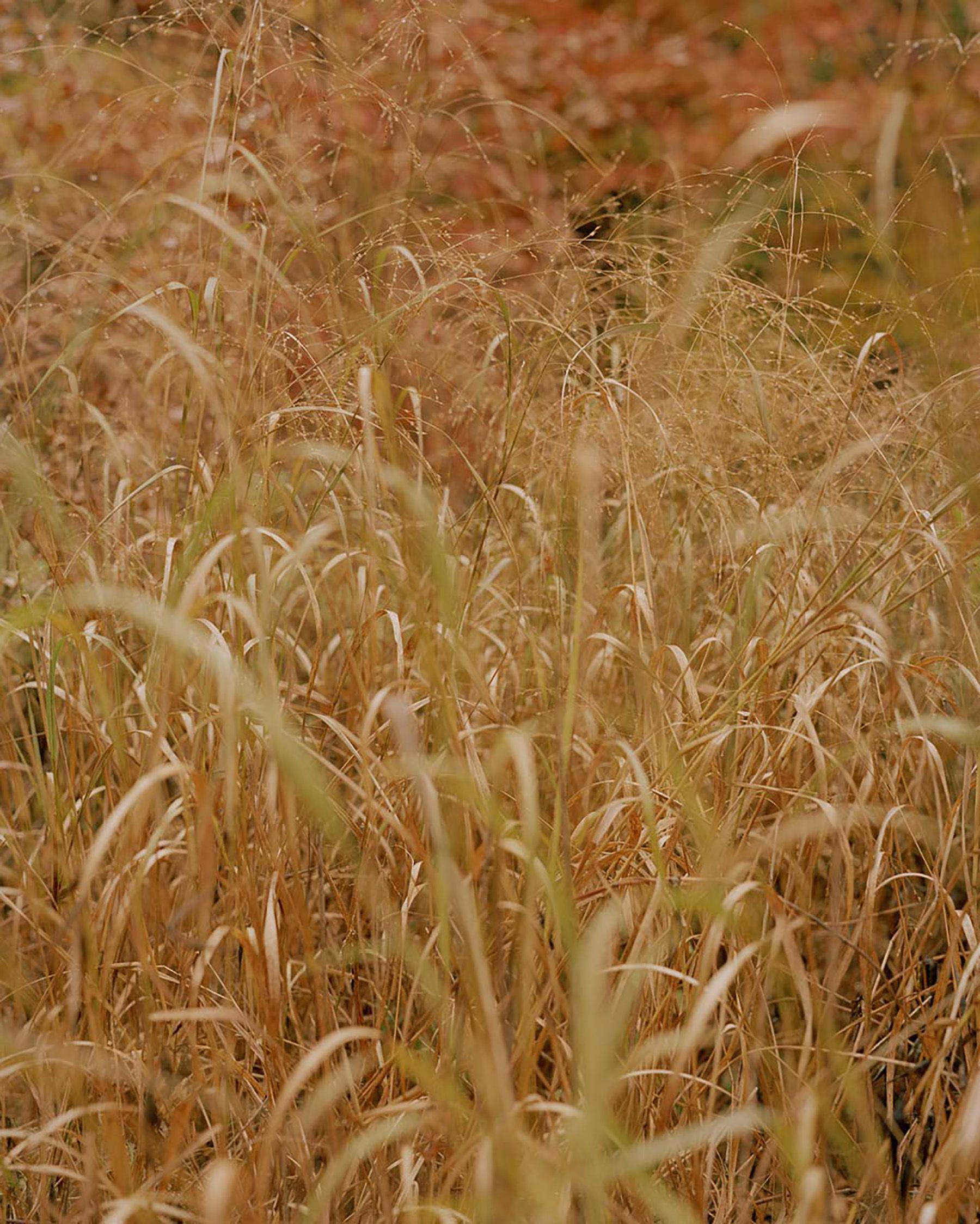 Brendan George Ko’s Record Of Being - IGNANT