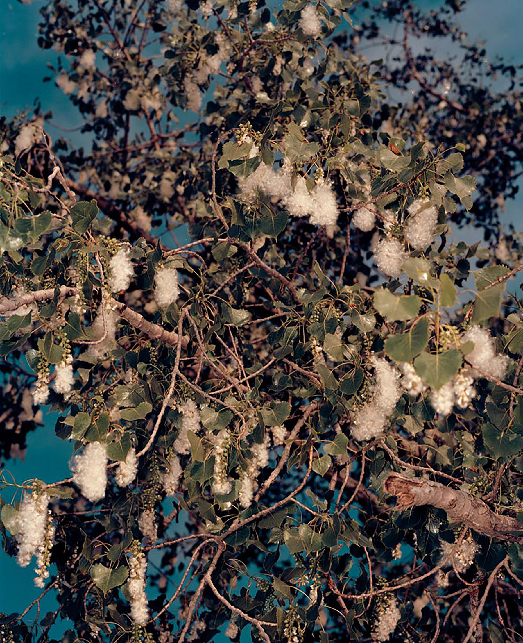 Brendan George Ko’s Record Of Being - IGNANT