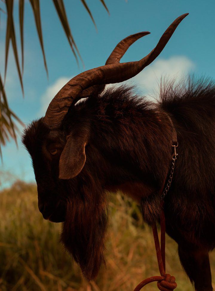 Brendan George Ko’s Record Of Being - IGNANT