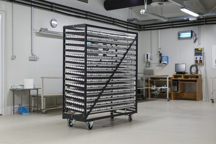 The Faces Of Factory Farming: Daniel Szalai Photographs Novogen White ...