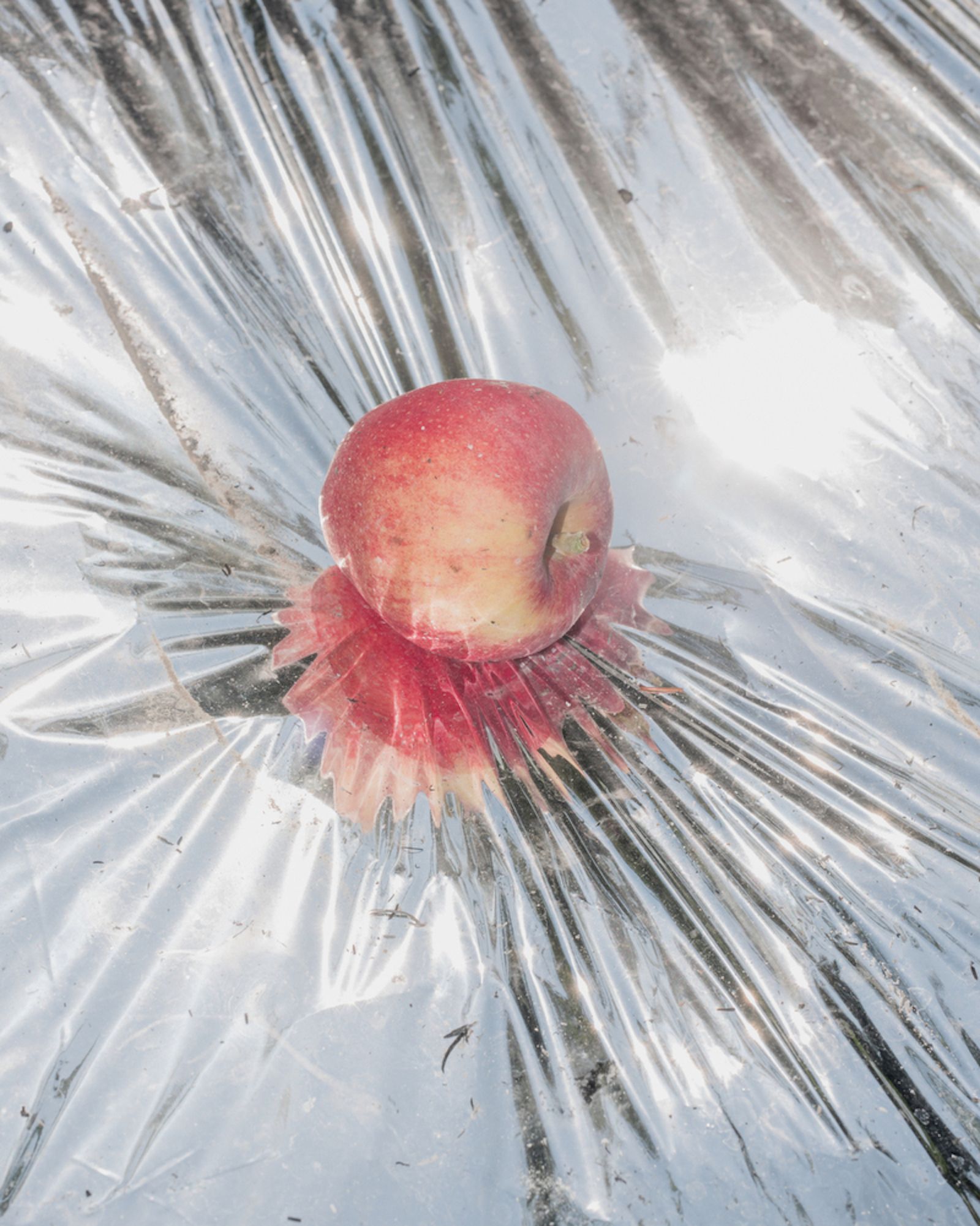 Garrett Grove Photographs American Identity And Anxiety In The Trump ...