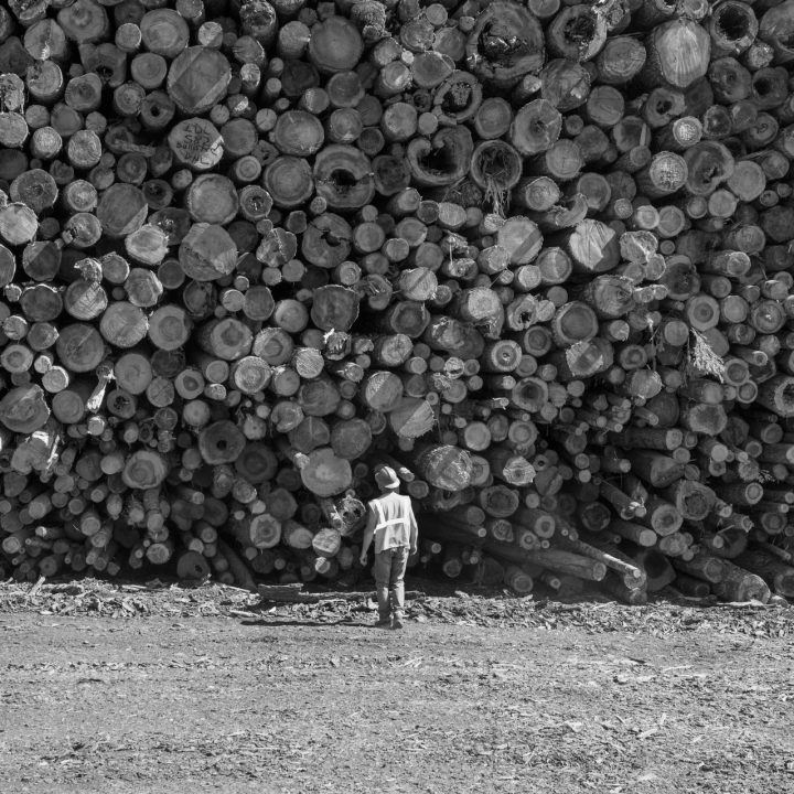 Photography Archives - IGNANT