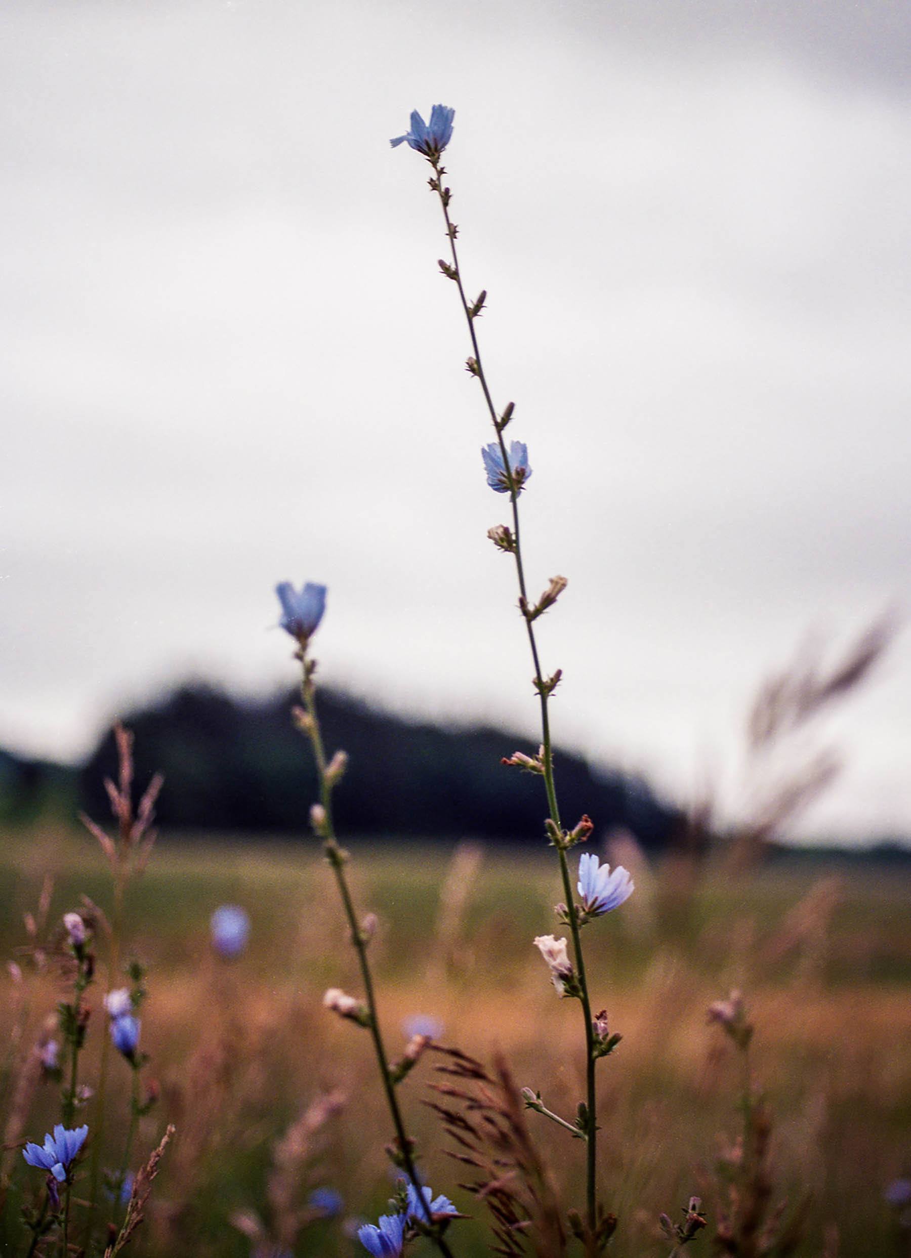 Jonathan Schechner's Photographs Explore The Complexity Of Place And ...