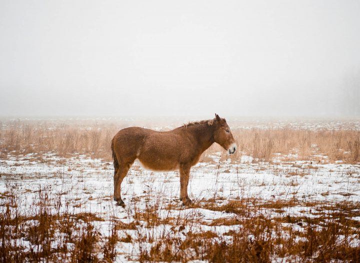 Jonathan Schechner's Photographs Explore The Complexity Of Place And ...