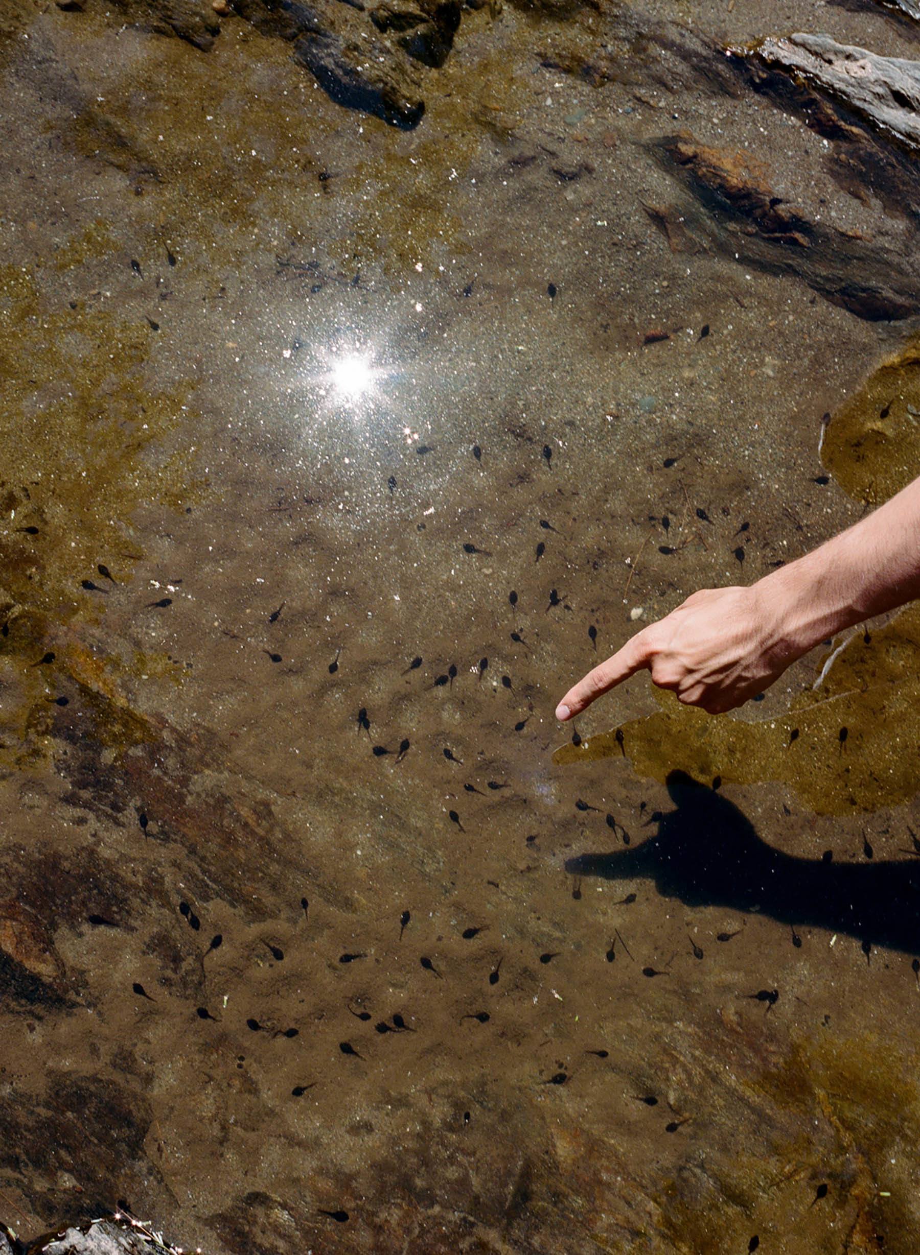 Jonathan Schechner's Photographs Explore The Complexity Of Place And ...