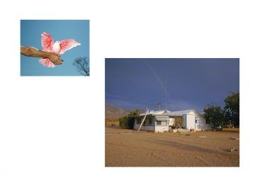 Kent Andreasen’s Cinematic Photography Establishes His Talent With ...