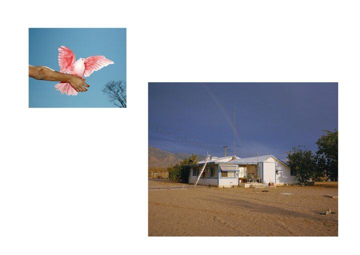 Kent Andreasen’s Cinematic Photography Establishes His Talent With ...