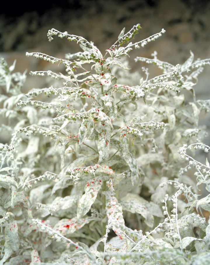 Kent Andreasen’s Cinematic Photography Establishes His Talent With ...