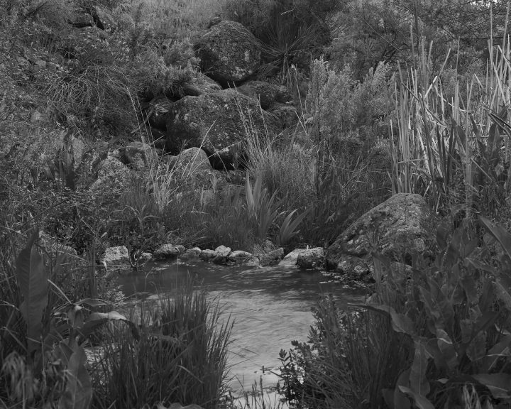 Masculinity Manifests Strangely In Kristine Potter’s Exploration Of The ...