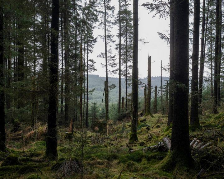 Robert Darch's Photo Book Depicts A Dark Dystopian Future - IGNANT