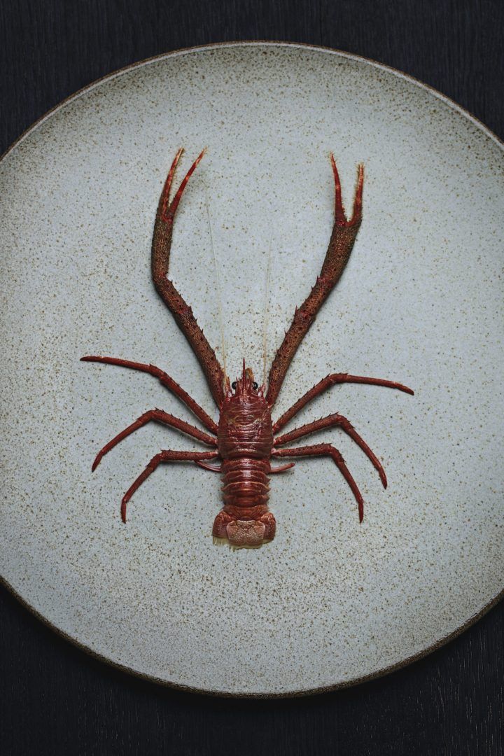 Snøhetta Designs An Extraordinary Underwater Restaurant In Norway - IGNANT