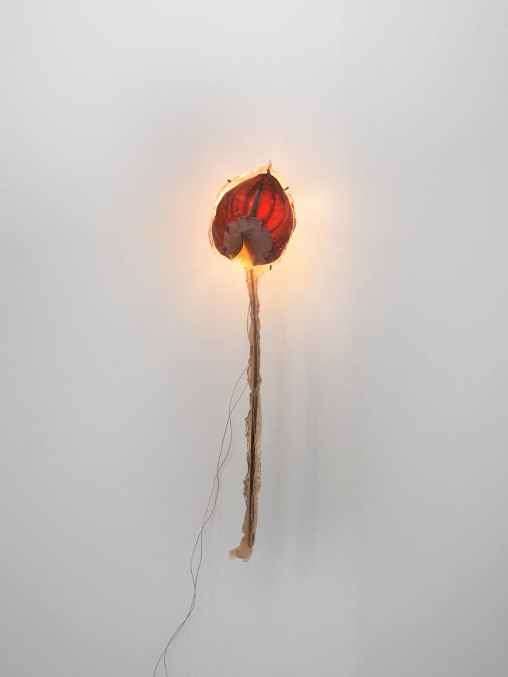 Marta Armengol’s Experimental Art Explores The Relationship Between ...