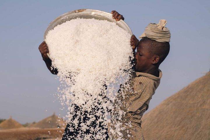Salt Winning In The Songor Lagoon: Adrian Morris Photographs The ...