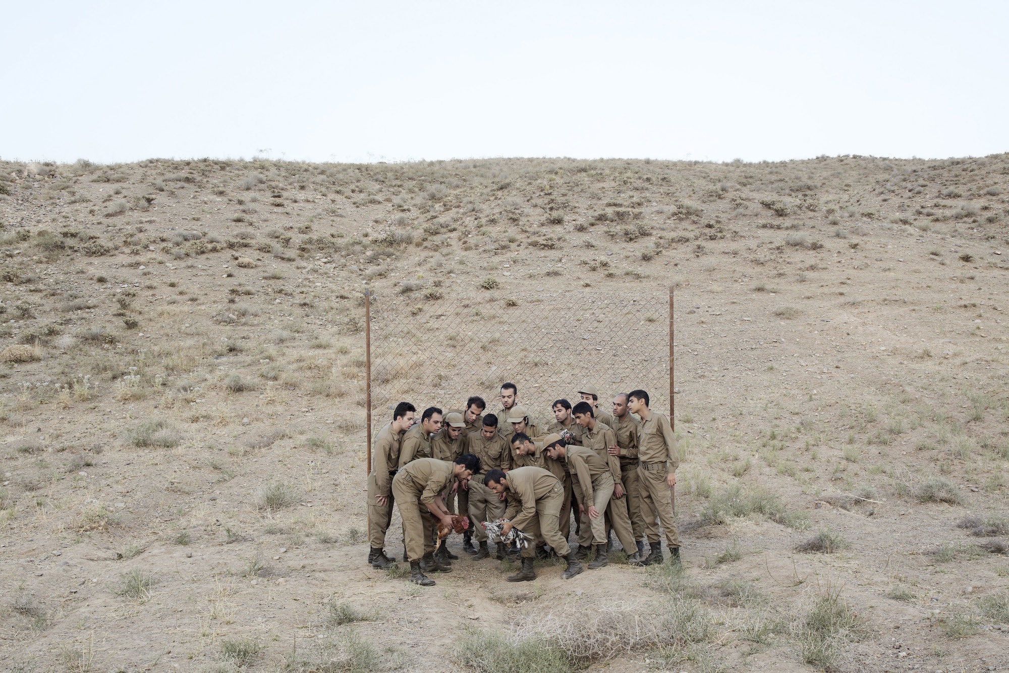 Gohar Dashti Reimagines The Effects Of War, Migration, And Displacement ...