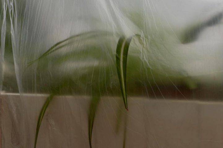 Colorful analog photography by Davis Ayer - IGNANT