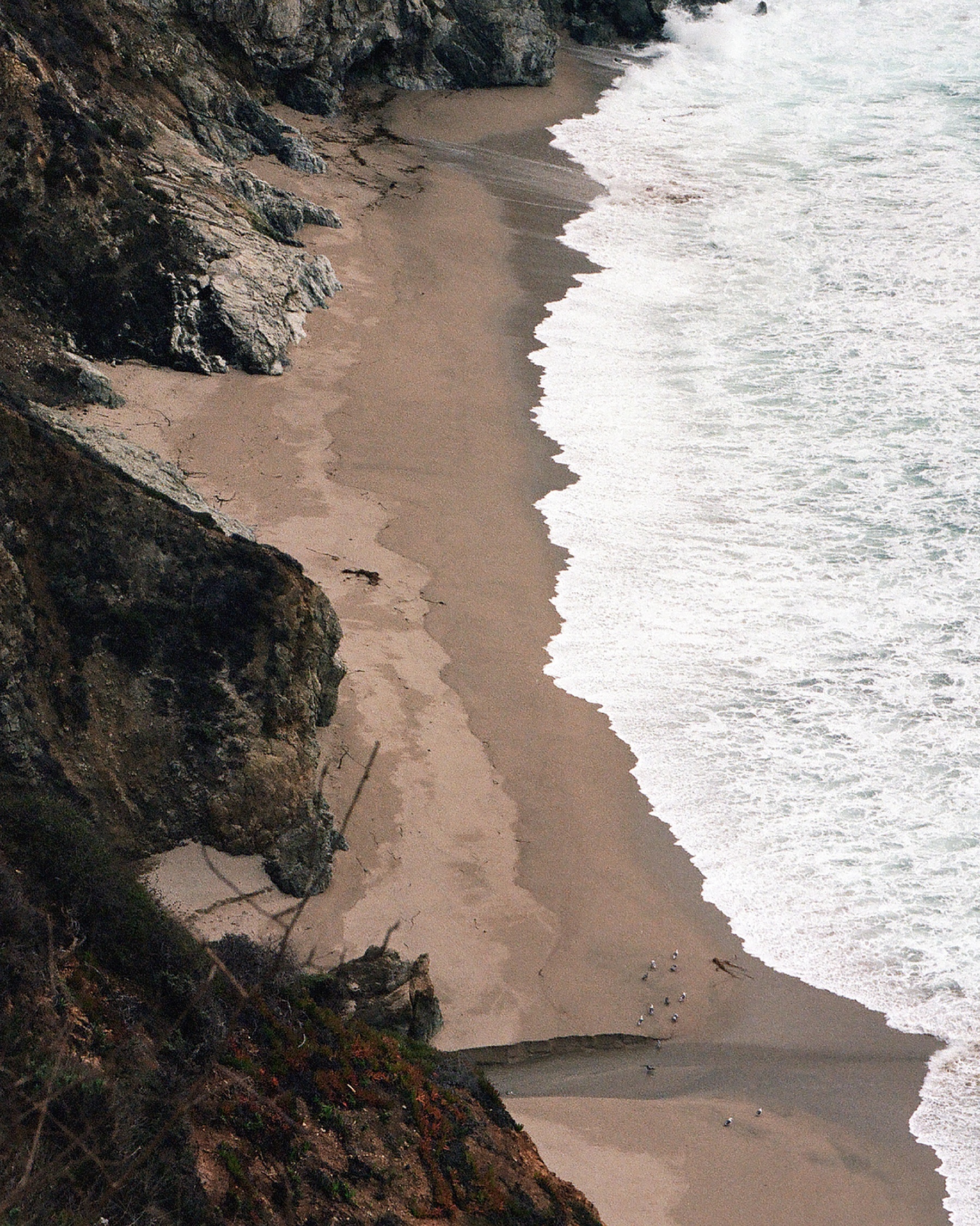 More Than The Sum Of Its Parts: David William Baum's Aesthetic ...