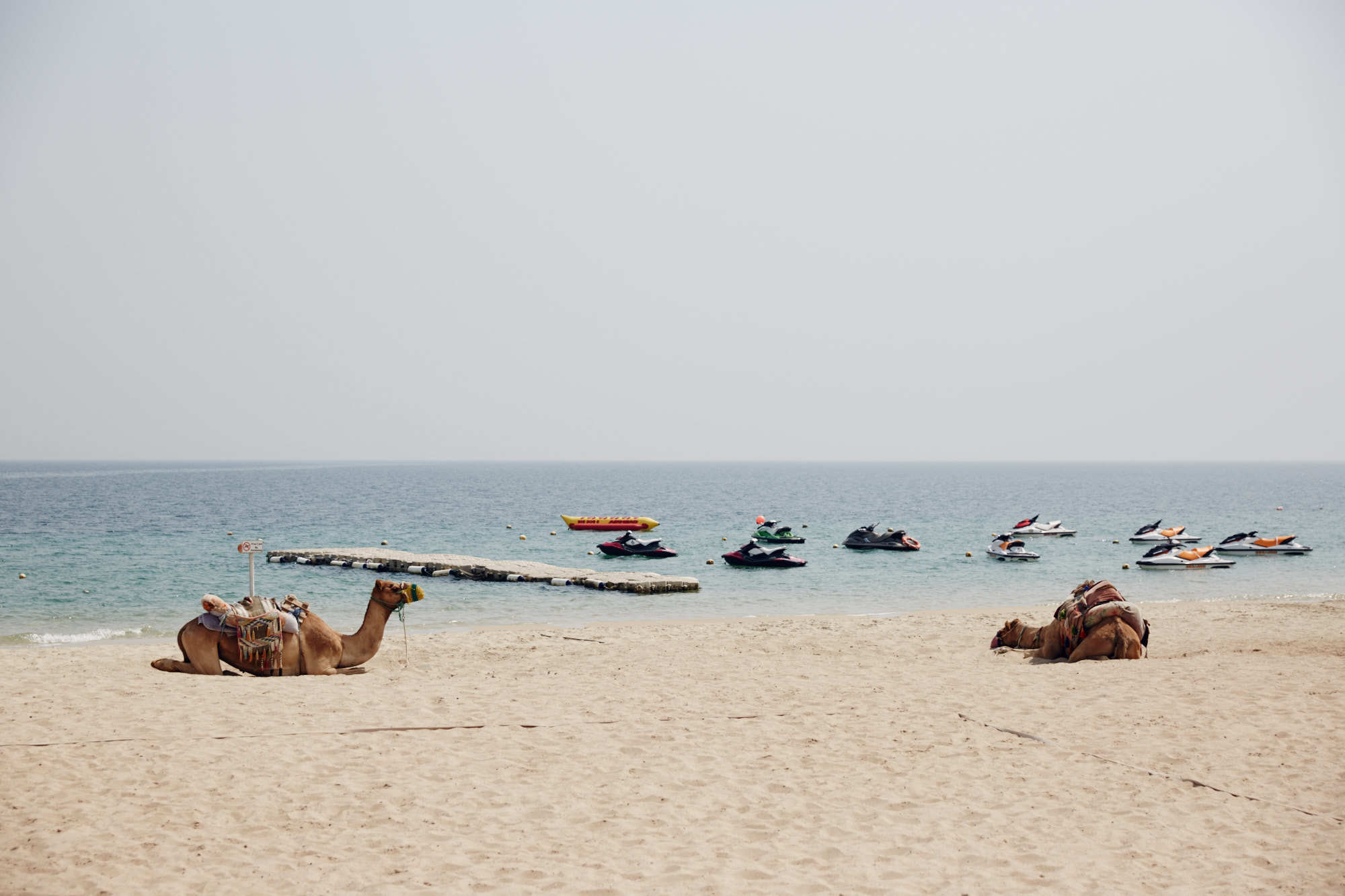 Tom Ross Archives - IGNANT