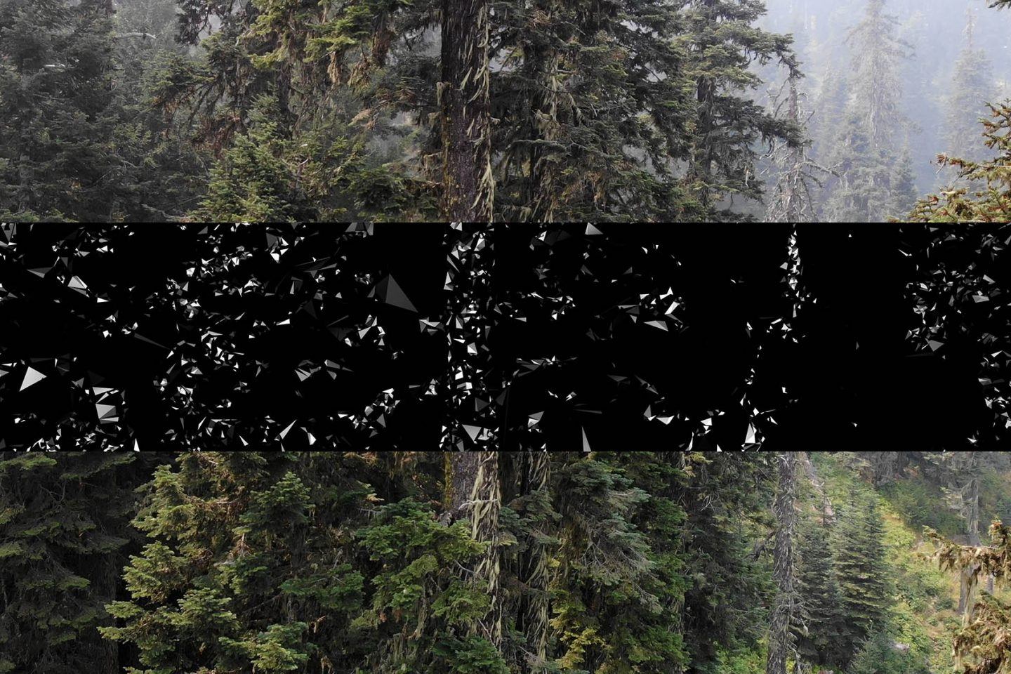 Mixed Media Paintings by Aliza Razell - IGNANT