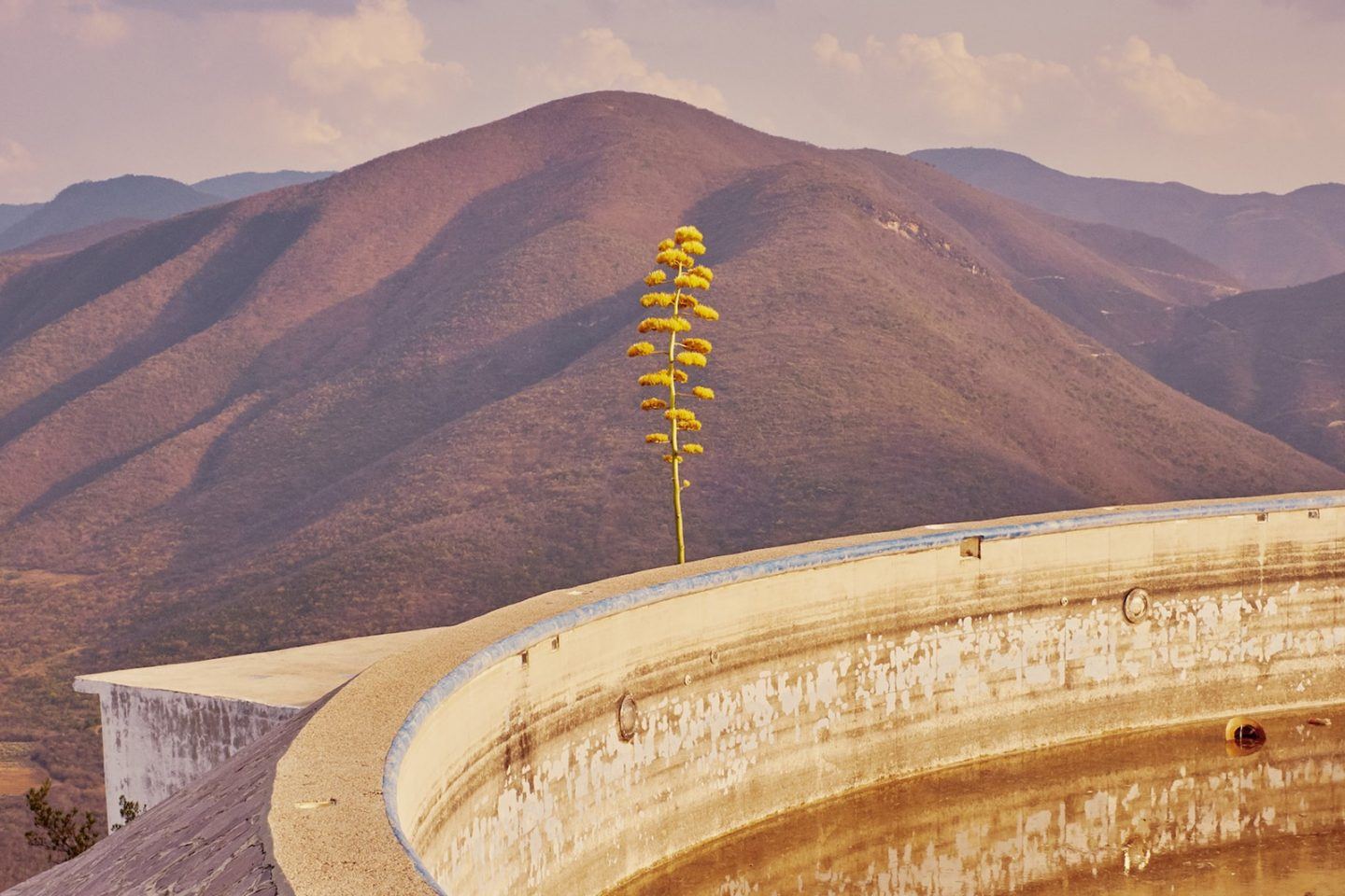 Color Archives - IGNANT