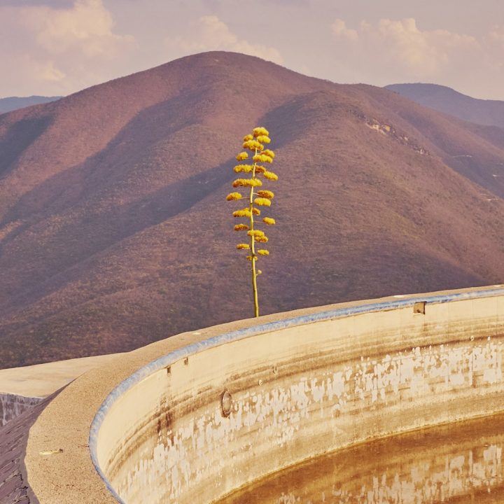 Photography Archives - IGNANT