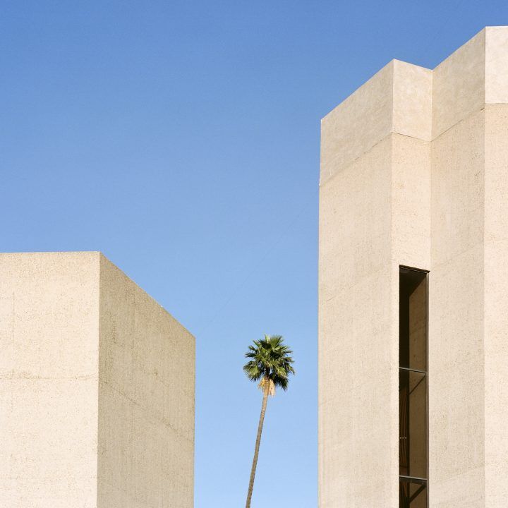 Sinziana Velicescu Observes Trees Growing In Unusual Places - IGNANT