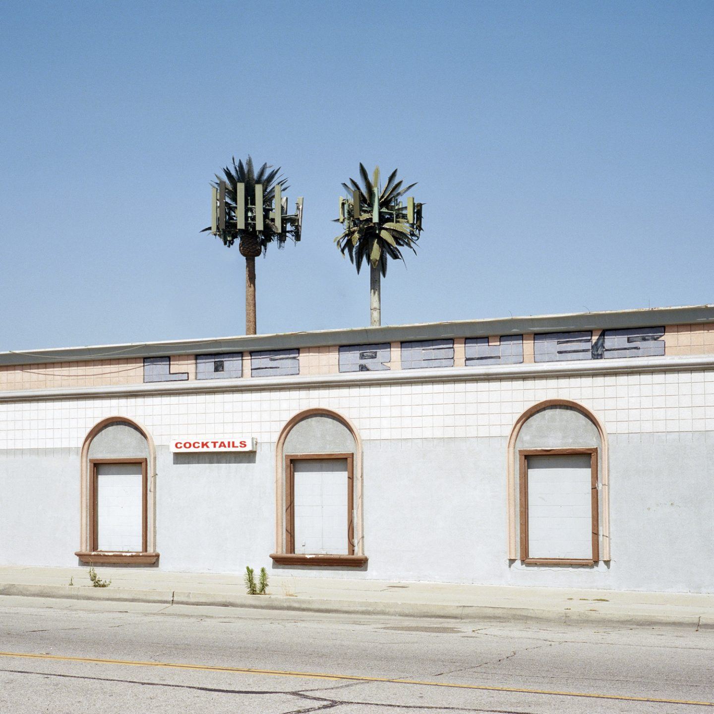Sinziana Velicescu Observes Trees Growing In Unusual Places - IGNANT