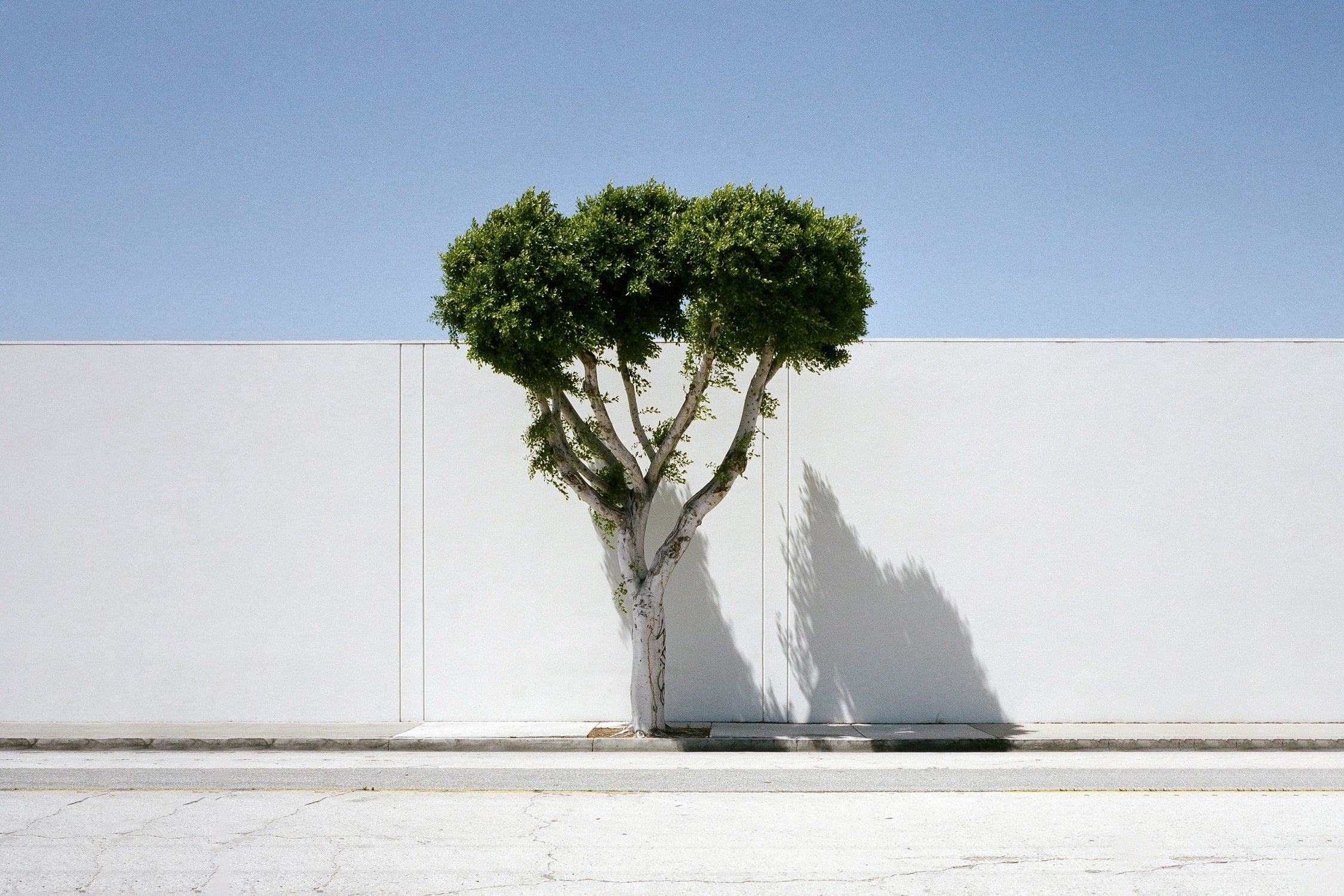 Sean Mundy’s Portrait Photography Twists Reality - IGNANT