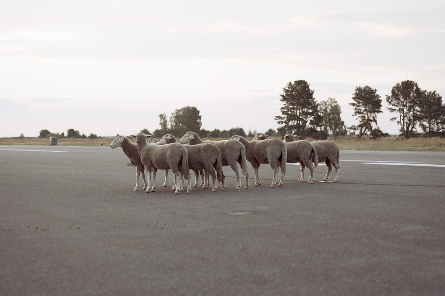 Thomas Prior’s Realistic Photography - IGNANT