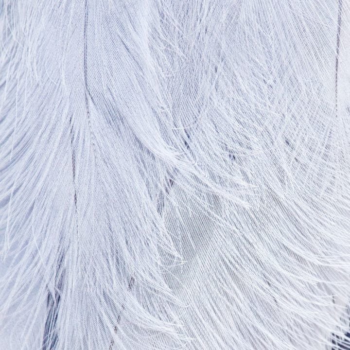 Thomas Lohr Captures The Feathers Of Exotic Birds In Vibrant Detail ...