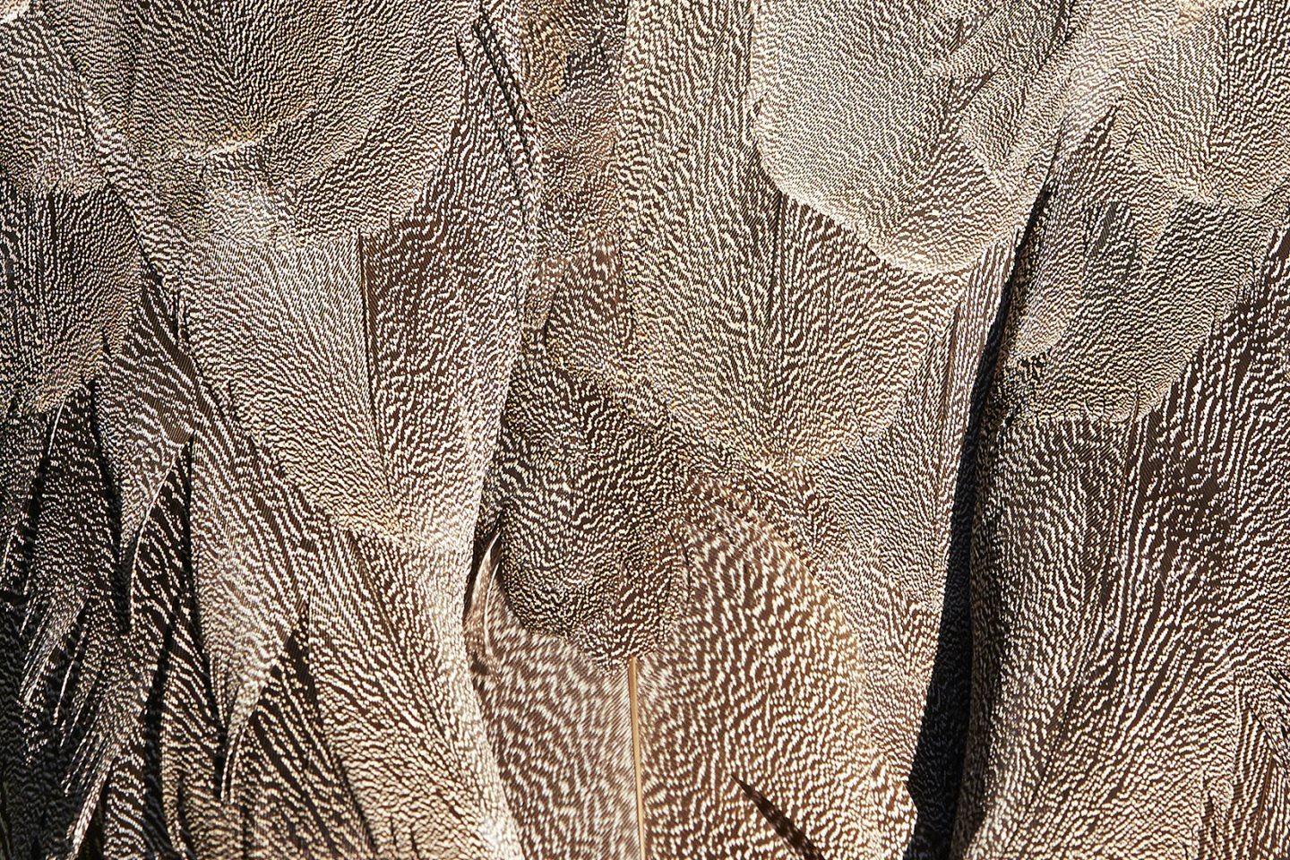 Color Archives - IGNANT