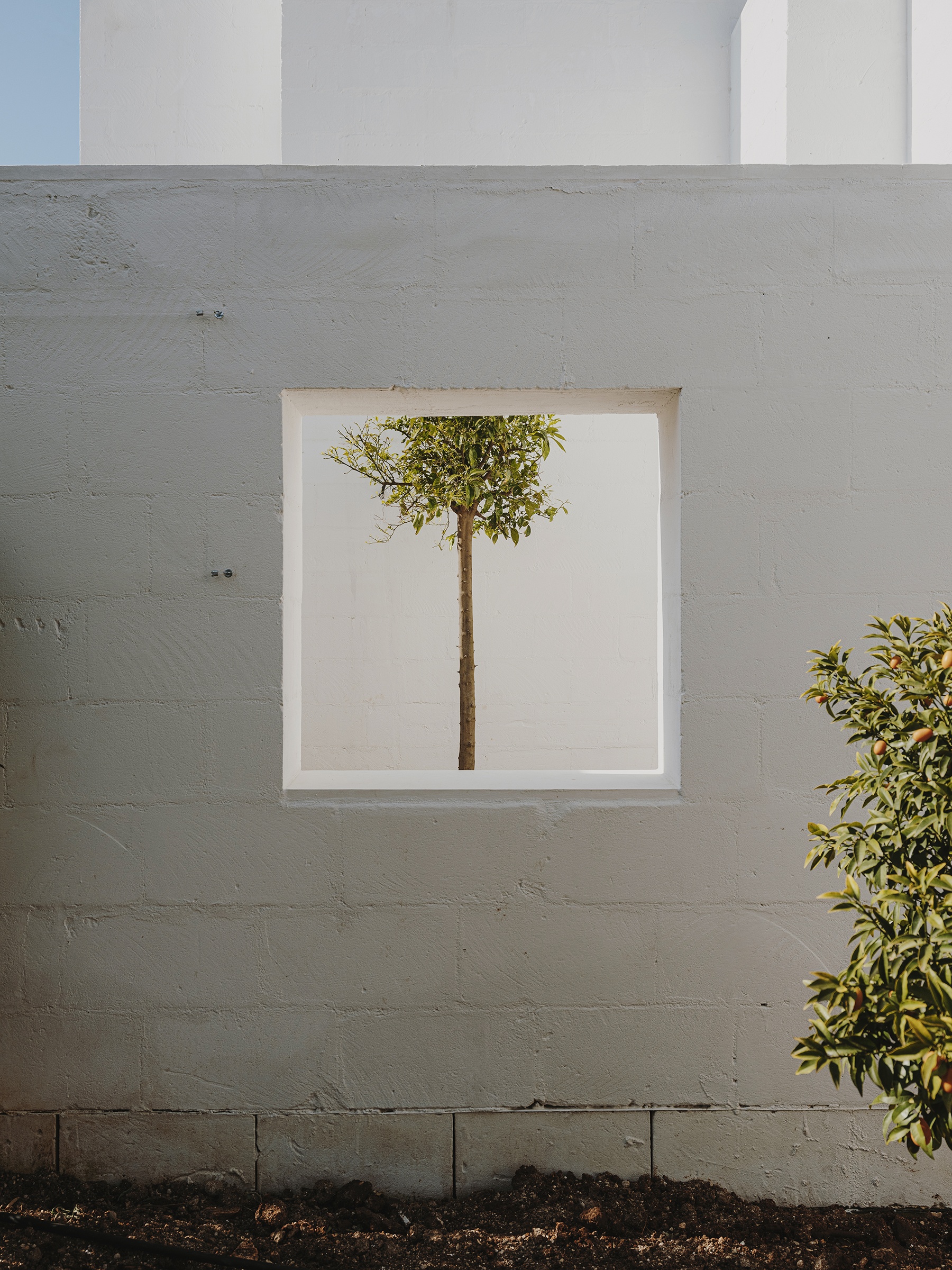 Drawing From The Architectural Vernacular Of Puglia, Studio Andrew ...