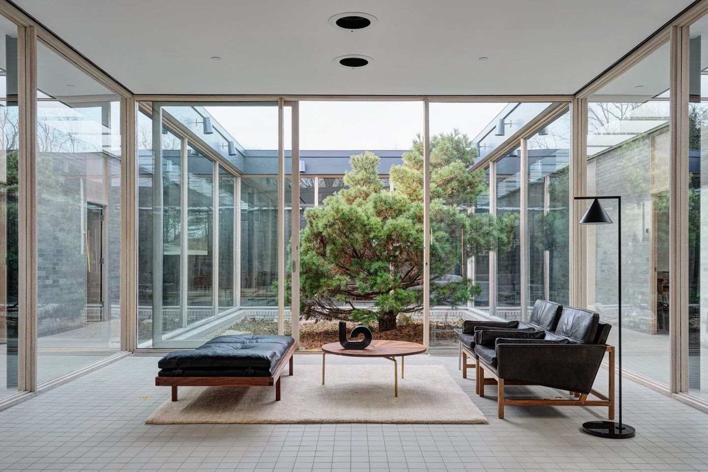 Studio Hongjie Yang’s Lab-Made Vases Are Made From Human Cells - IGNANT