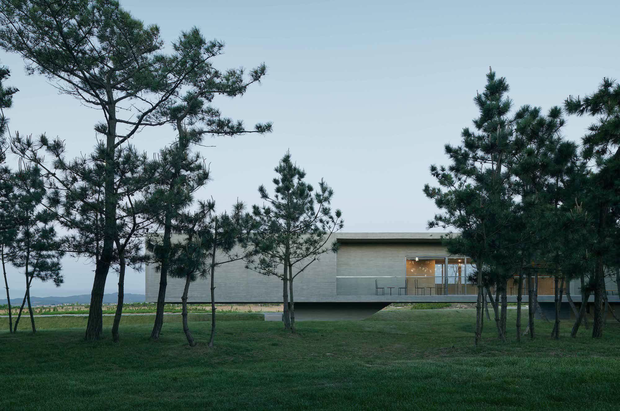 Trace Architecture Office Designs A Space To Enjoy China’s Swan Lake ...