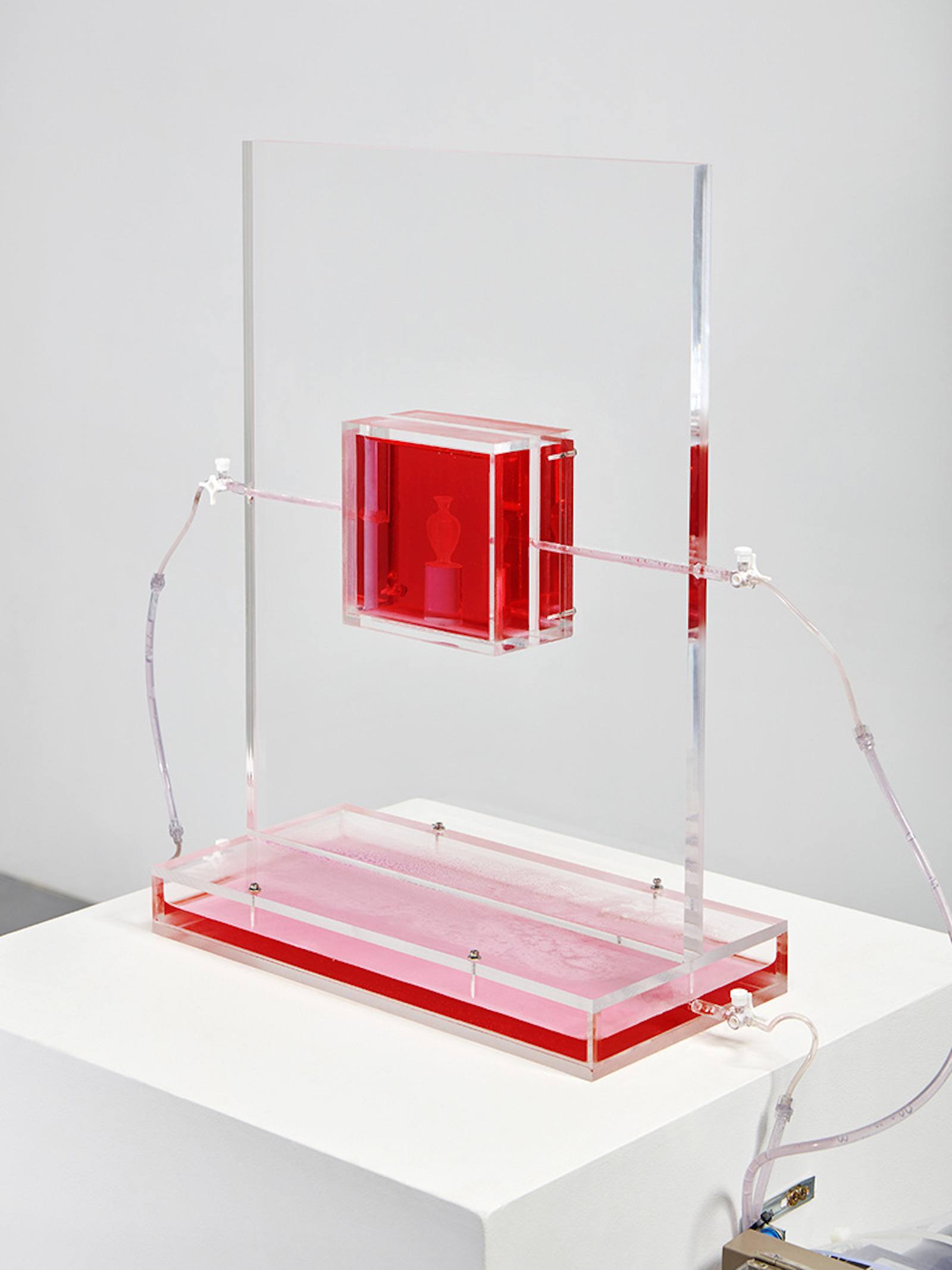 Studio Hongjie Yang’s Lab-Made Vases Are Made From Human Cells - IGNANT