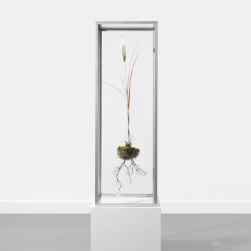 Studio Hongjie Yang’s Lab-Made Vases Are Made From Human Cells - IGNANT