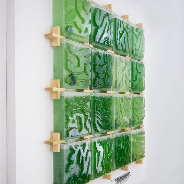 This Micro-Algae Indoor Farm Shows The Promising Future Of Plant ...