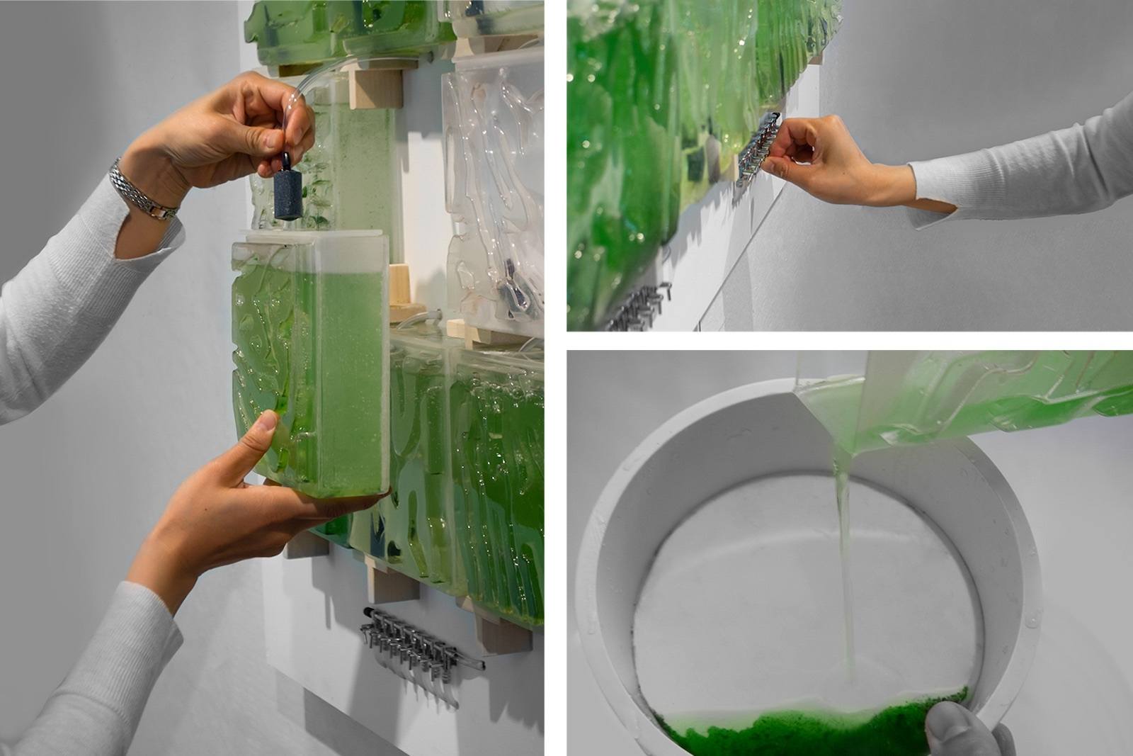 This Micro-Algae Indoor Farm Shows The Promising Future Of Plant ...
