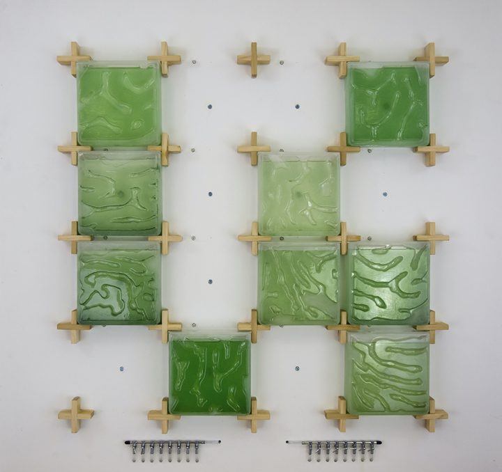 This Micro-Algae Indoor Farm Shows The Promising Future Of Plant ...