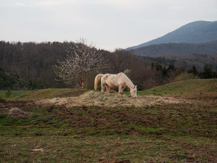 An Encyclopaedic Archive Of France’s Diverse Territories And ...
