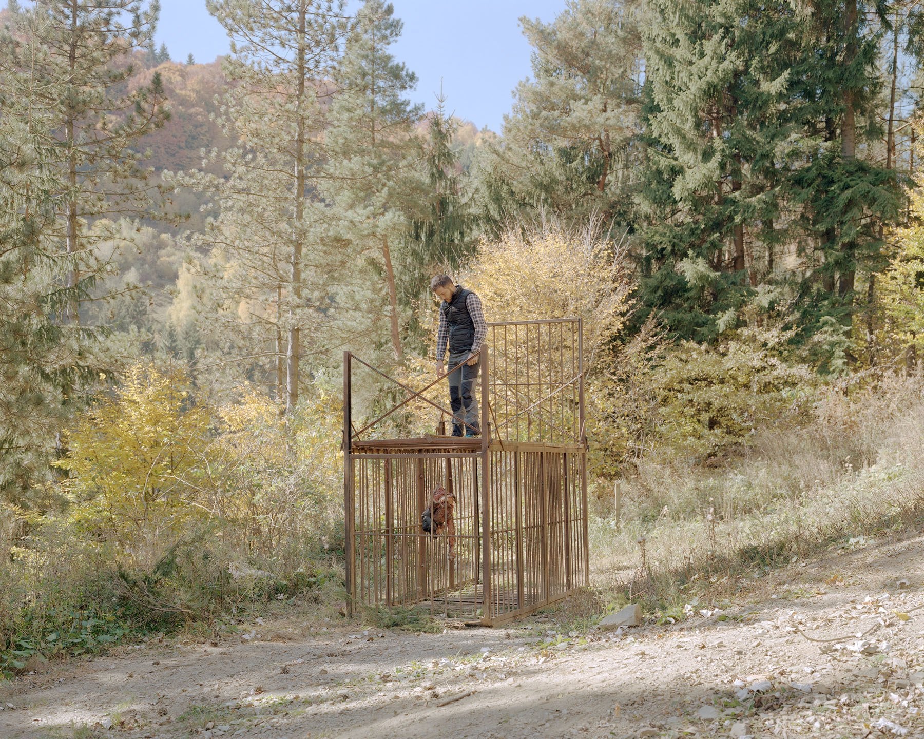 In Romania, Nicholas JR White Photographs The Fight To Protect One Of ...