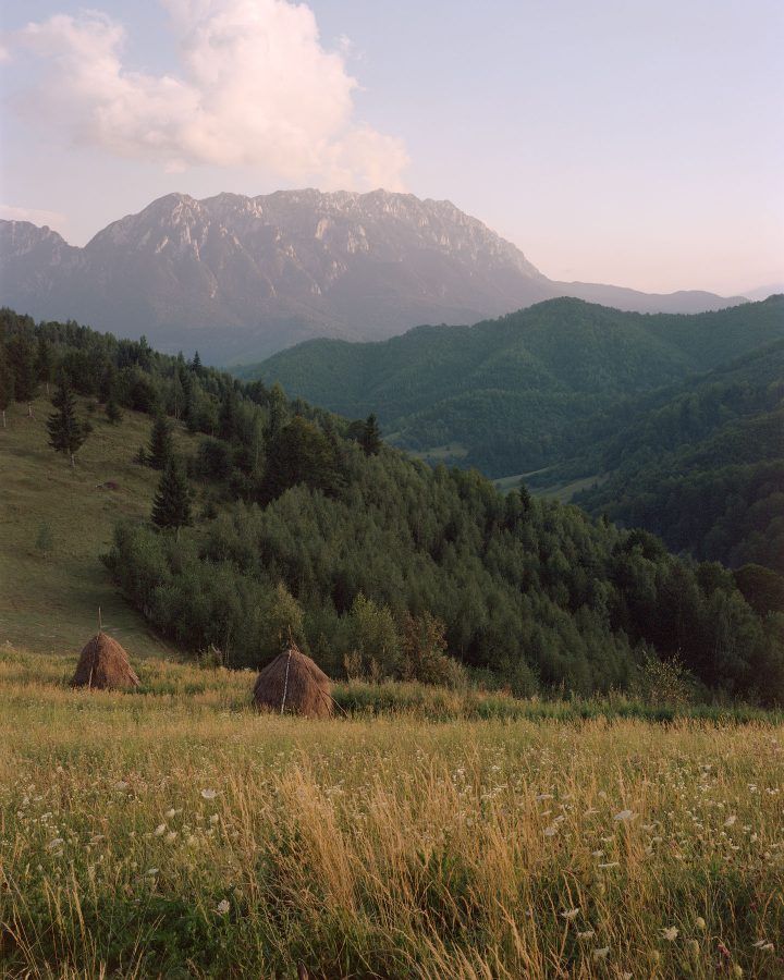 In Romania, Nicholas JR White Photographs The Fight To Protect One Of ...