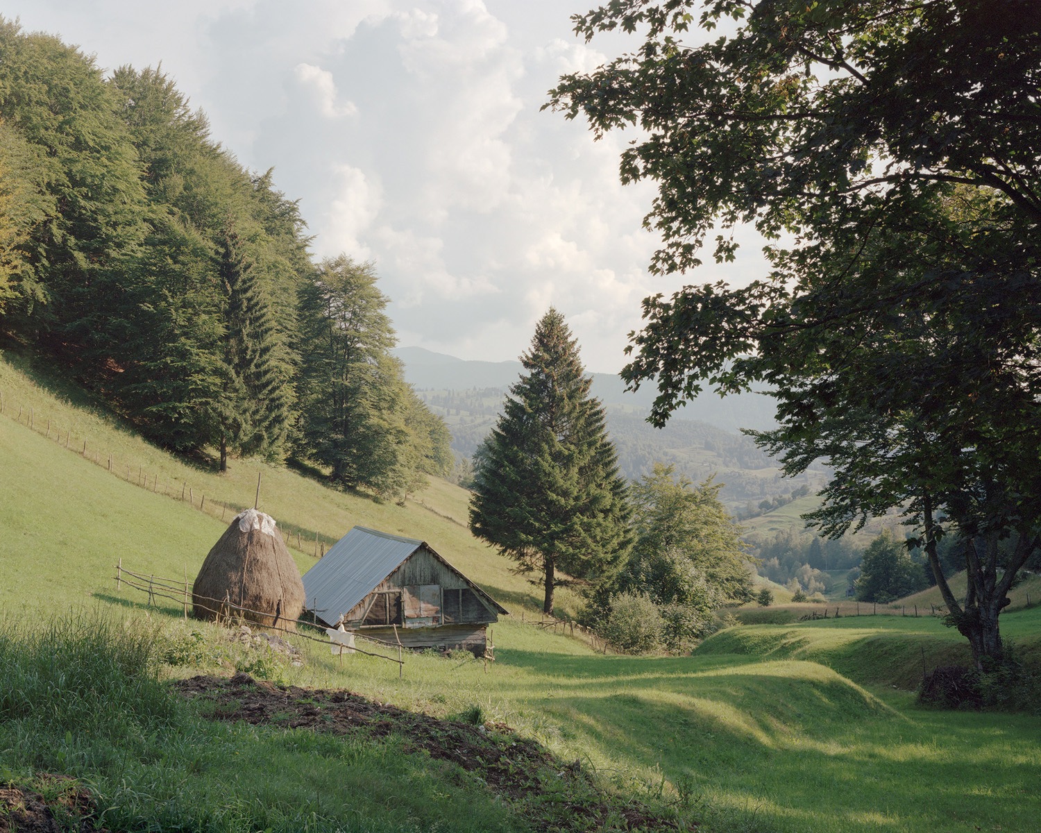 In Romania, Nicholas JR White Photographs The Fight To Protect One Of ...