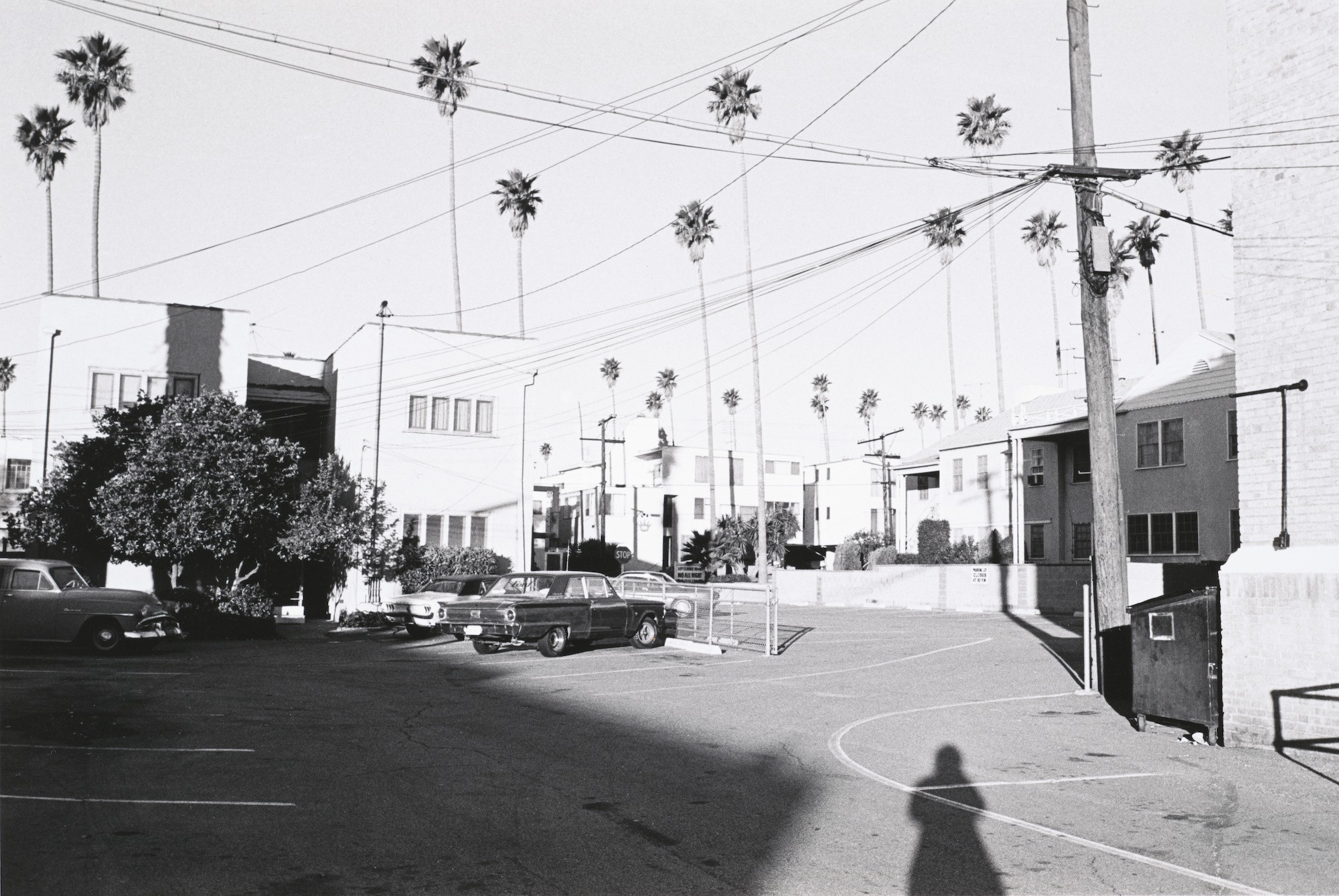 The Photography Of Henry Wessel Reminds Us To Stop, Observe, And ...
