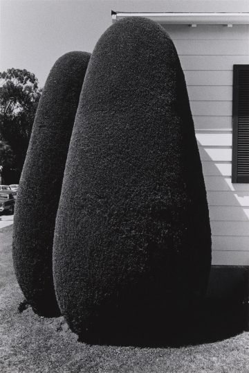 The Photography Of Henry Wessel Reminds Us To Stop, Observe, And ...