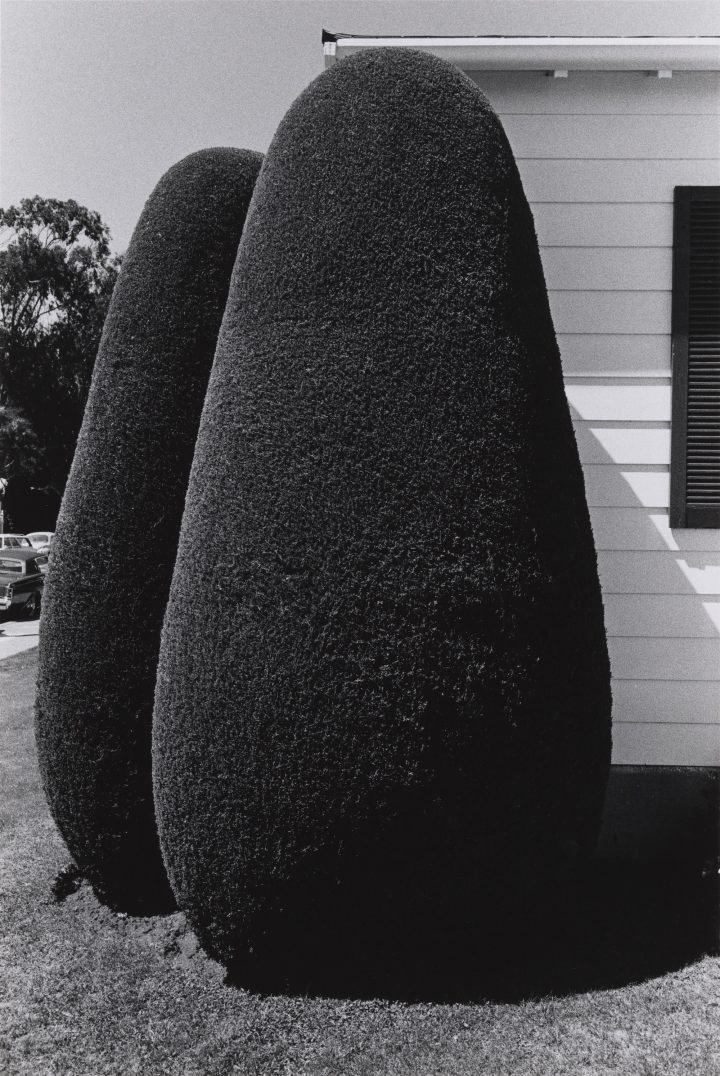 The Photography Of Henry Wessel Reminds Us To Stop, Observe, And ...