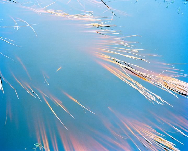 Vasantha Yogananthan Redraws Ancient Mythology In Her Series Howling ...