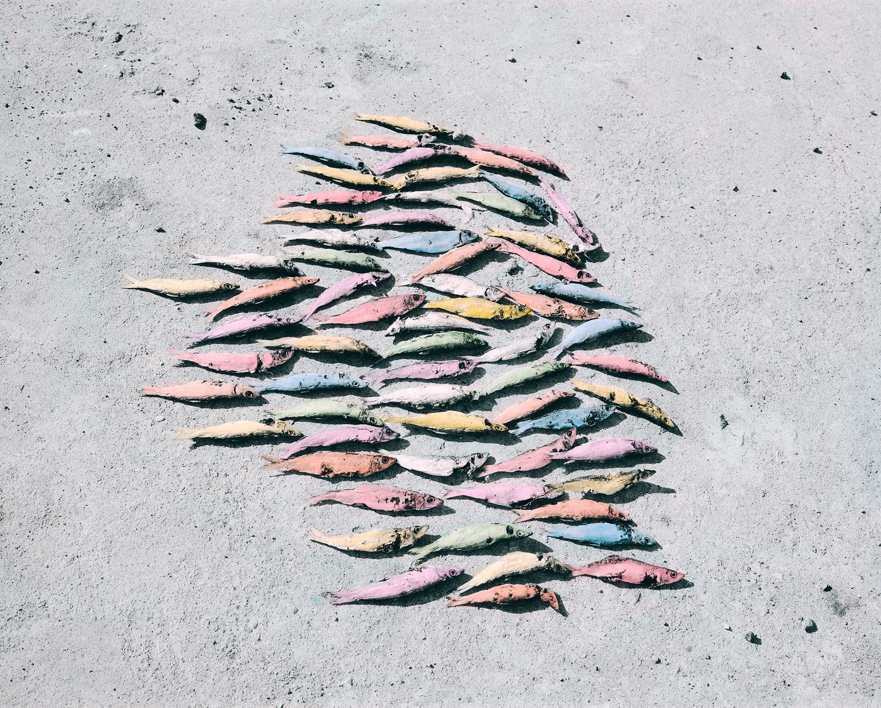 Vasantha Yogananthan Redraws Ancient Mythology In Her Series Howling ...