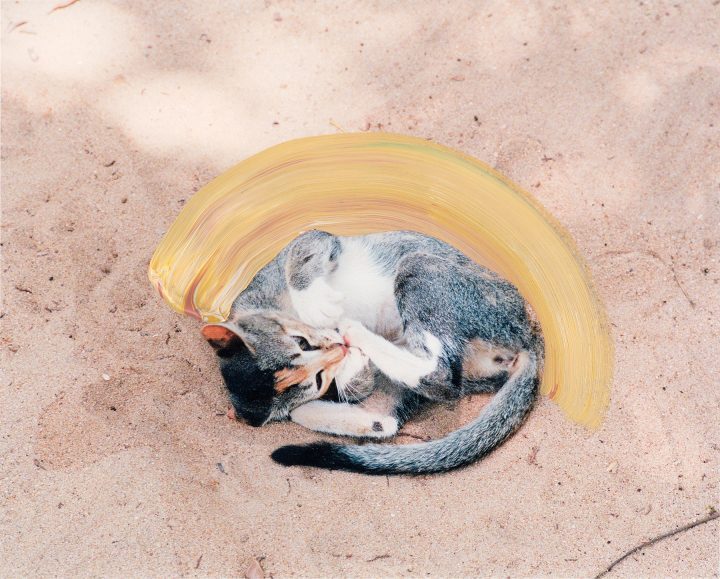 Vasantha Yogananthan Redraws Ancient Mythology In Her Series Howling ...