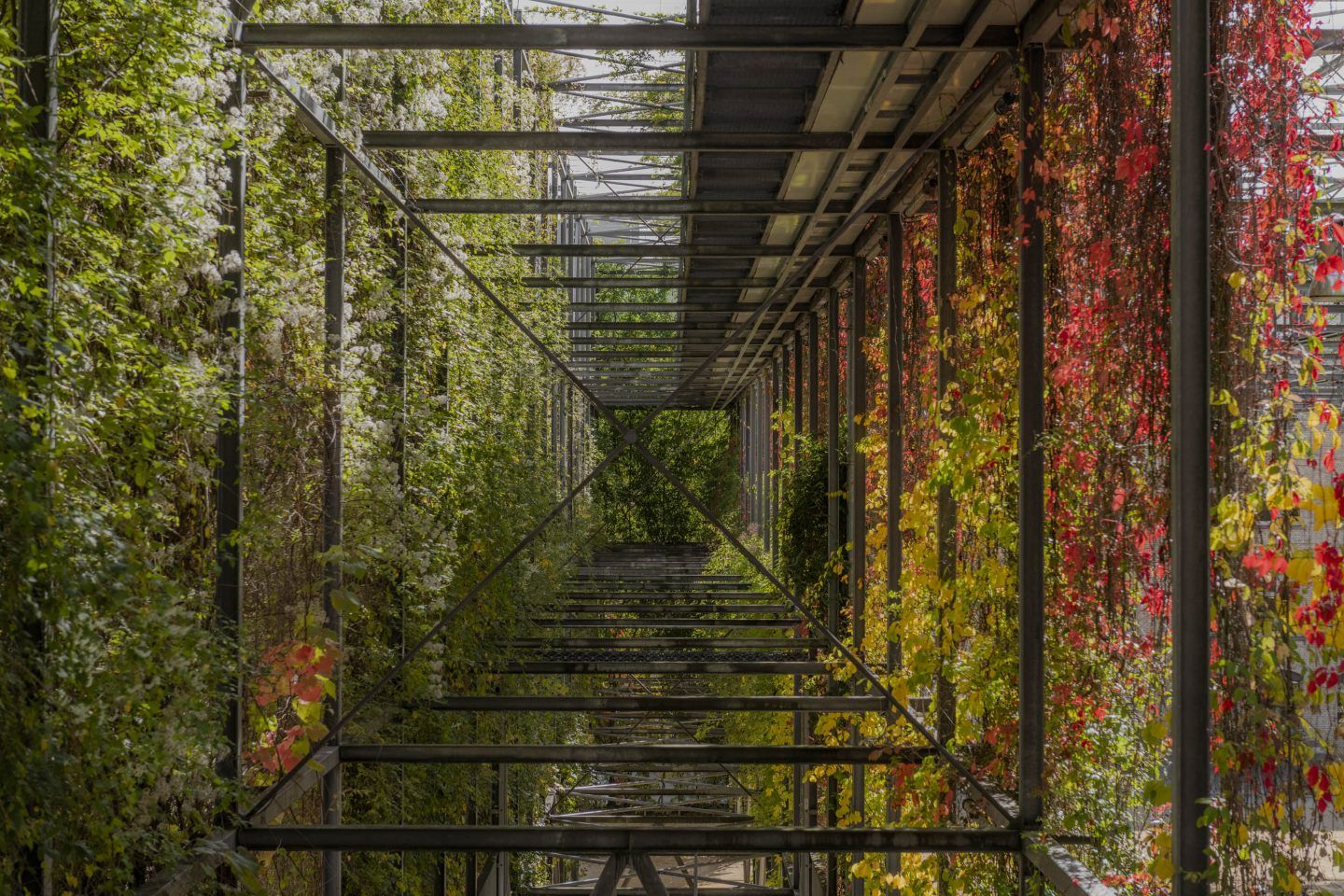 MFO-Park · Zurich, Switzerland - IGNANT