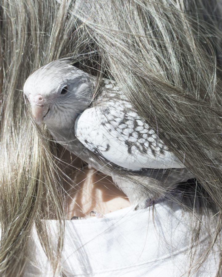 Photographer Inês Fernandes Considers The Soul In The Series Pneuma ...